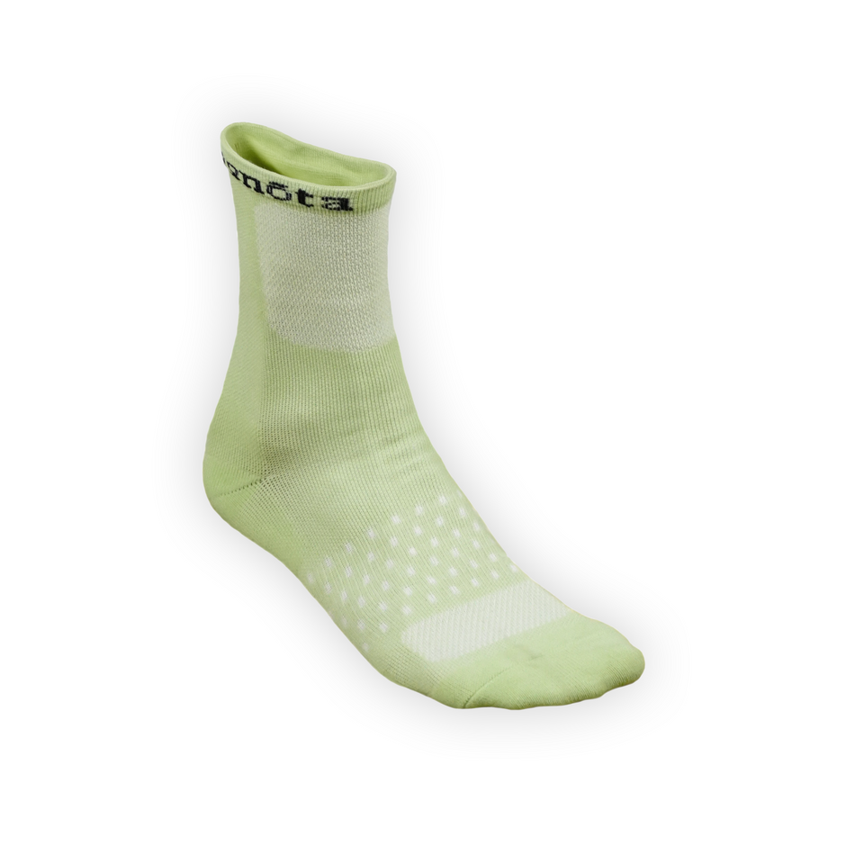 Products – Terignota