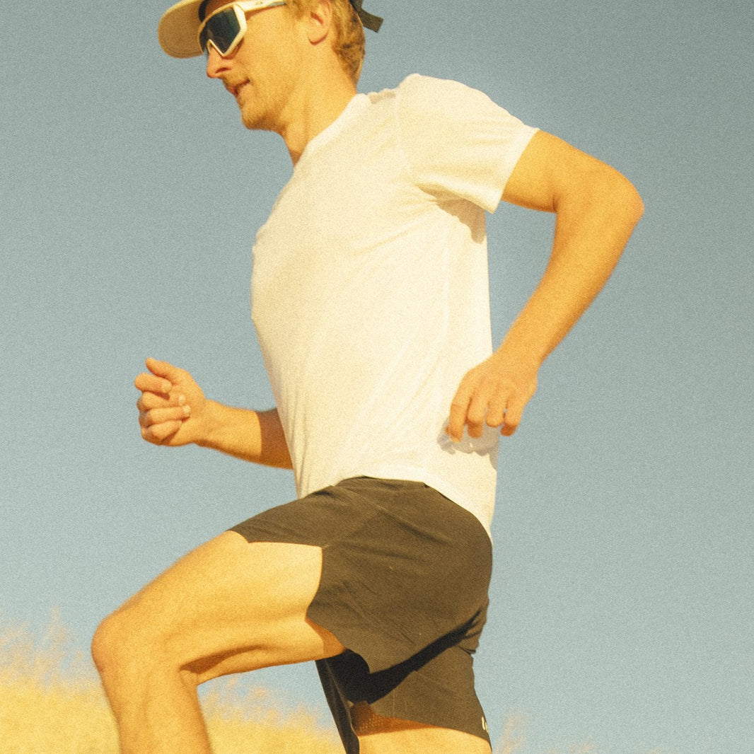 Products – Terignota